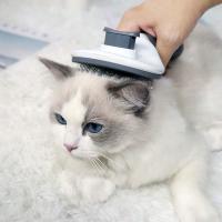 China Self-Cleaning Pet Hair Remover Comb 21×11cm Portable Grooming Brush for Cats and Dogs for sale