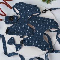 China Custom Dog Harness Set with Neoprene Backpack - Eco-Friendly Adjustable XS/S/M/L/XL Sizes for Outdoor Activities for sale