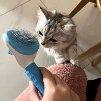 China Self-Cleaning Pet Hair Remover Comb 21×11cm Portable Grooming Brush for Cats and Dogs for sale