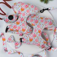 China Custom Dog Harness Set with Neoprene Backpack - Eco-Friendly Adjustable XS/S/M/L/XL Sizes for Outdoor Activities for sale