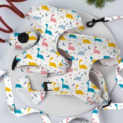 China Reversible Dog Harness and Leash Set with Custom Logo - 100 Piece MOQ, 7-10 Day Delivery for sale