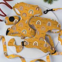 China Reversible Dog Harness and Leash Set with Custom Logo - 100 Piece MOQ, 7-10 Day Delivery for sale