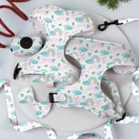 China Reversible Dog Harness and Leash Set with Custom Logo - 100 Piece MOQ, 7-10 Day Delivery for sale