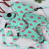 China Reversible Dog Harness and Leash Set with Custom Logo - 100 Piece MOQ, 7-10 Day Delivery for sale