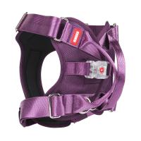 China Heavy Duty LED Dog Harness with USB Rechargeable Light - Oxford Nylon Material in S/M/L Sizes for sale