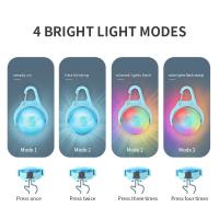 China IPX8 Waterproof USB Rechargeable Dog Light Up Tag for Night Walking 50mmx70mm for sale