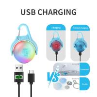 China IPX8 Waterproof USB Rechargeable Dog Light Up Tag for Night Walking 50mmx70mm for sale
