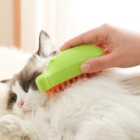 China Rechargeable Pet Grooming Steamer Brush 3 in 1 Dog Cat Hair Removal Steam Spray 11.5cm for sale