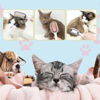 China Silicone Pet Hair Removal Comb for Dogs and Cats - Size S, No Power Required, 500 Pcs MOQ for sale