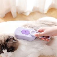 China 3 in 1 Pet Grooming Steamer Brush with Self Cleaning Steam Hair Removal Comb 11.5cm ABS TPR for sale