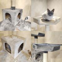China 186cm Large Wooden Cat Climbing Tower with Sisal Scratching Posts and 2 Condos - 55×50cm Base for sale