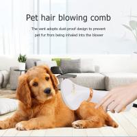 China Pet Grooming Dryer 2-in-1 with Comb Brush for Small Animals | 30×14×8cm Stainless Steel Design for sale