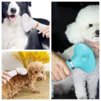 China Pet Grooming Dryer 2-in-1 with Comb Brush for Small Animals | 30×14×8cm Stainless Steel Design for sale