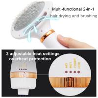 China Pet Grooming Dryer 2-in-1 with Comb Brush for Small Animals | 30×14×8cm Stainless Steel Design for sale