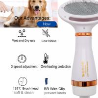 China Pet Grooming Dryer 2-in-1 with Comb Brush for Small Animals | 30×14×8cm Stainless Steel Design for sale