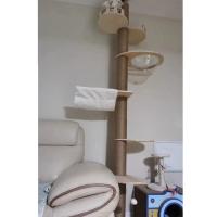 China Floor to Ceiling Cat Tree Condo Furniture with Sisal Scratching Posts 50 Pcs MOQ for sale