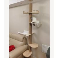 China Floor to Ceiling Cat Tree Condo Furniture with Sisal Scratching Posts 50 Pcs MOQ for sale