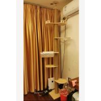 China Floor to Ceiling Cat Tree Condo Furniture with Sisal Scratching Posts 50 Pcs MOQ for sale