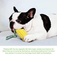 China TPR Squeaky Dog Chew Toy 147mm Non Toxic Durable for Aggressive Chewers Large Breeds for sale