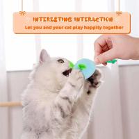 China Plush Catnip Mouse Cat Toy for Interactive Indoor Cats Kitten Play Popular Style and Interactive Function for sale