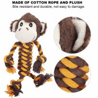 China Custom Dog Toys Luxury Pet Accessories Teeth Cleaning Interactive Play Sizes XS S M L for sale