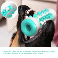 China Multi Functional Interactive Dog Toys Customized Pet Chew Toys for sale