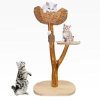 China Natural Wood Cat Tower Multi Level Modern Design for Easy Climb Small Old Cats Custom Size for sale