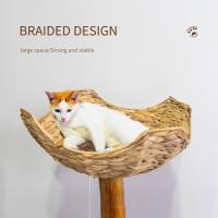 China Natural Wood Cat Tower Multi Level Modern Design for Easy Climb Small Old Cats Custom Size for sale