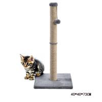 China Modern Wall Mounted Cat Shelves Climbing Track for Indoor Outdoor Use 100 Pcs MOQ for sale