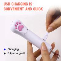 China Sustainable ABS Cat Laser Toy White USB Charging Laser Pointer Cat Toy for sale