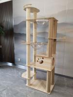 China 4 Seasons Tree Cat Playhouse Sisal Scratching Post Wooden Activity Center for Indoor Cats for sale