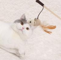 China M Size Cat Teaser Wand Natural Wood Cat Feather Stick Interactive Pet Toy OEM ODM for sale