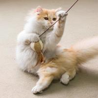 China Plush Cat Teaser Stick Toy Interactive Pet Wand for Cats 10 Pcs MOQ Custom Colors OEM for sale