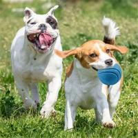 China Natural TPR Foam Dog Toy Teeth Cleaning Durable Outdoor Training Ball 5cm 7cm for sale