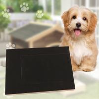 China Wooden Dog Nail Scratch Board with Treat Dispenser 13.77x9.84x1.2 inch for Indoor Outdoor Use for sale