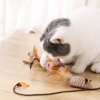 China 7-Piece Cat Teaser Wand Set with Wooden Gift Box - Interactive Cat Toys for Indoor Play for sale