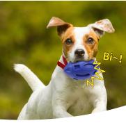 China Indestructible Dog Squeaky Toy Ball 15cm Natural Rubber Chew Toy for Aggressive Chewers for sale
