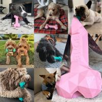 China Ultra Durable Non-Toxic Rubber Dog Chew Toy for Aggressive Chewers Interactive Bone 2 Pcs for sale