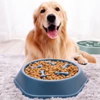 China Pet Slow Feeder Dog Bowl 18.5cm x 23.5cm Anti-Gulping Food Plate for Dogs and Cats with Non-Slip Base for sale