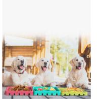 China Interactive Dog Bowls 4-Pack with Slow Feeder Design and Treat Dispensing for Training and Anxiety Relief for sale