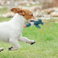 China Chengbei Plush Pet Chew Toy for Dogs Soft Cotton Dog Accessories Custom Logo 2 Pcs MOQ for sale