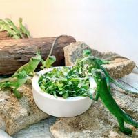 China Ceramic Reptile Food Water Bowl 7cm 10cm 13cm Escape Proof for Lizard Pet Dish for sale