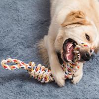 China Large Durable Cotton Rope Dog Toy 40cm 60cm Interactive Knot for Aggressive Chewers for sale