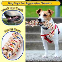 China Large Durable Cotton Rope Dog Toy 40cm 60cm Interactive Knot for Aggressive Chewers for sale