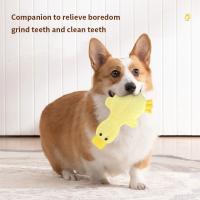 China Duck Plush  Dog Tooth High Durable Chengbei  Cleaning  Soft Squeaker  Bite-Resistant for sale