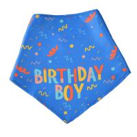 China Custom Printed Dog Birthday Bandana Bone Chew Toy Set Cotton Polyester 200pcs MOQ for sale