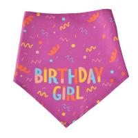 China Custom Printed Dog Birthday Bandana Bone Chew Toy Set Cotton Polyester 200pcs MOQ for sale