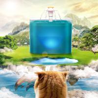 China Automatic Cat Water Dispenser Drinking Fountain 2L Stainless Steel Quiet Pump for sale