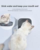 China Plastic Splash Proof Pet Floating Water Bowl 23x23x8cm for Dogs Cats Non Slip Base for sale