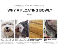China Plastic Splash Proof Pet Floating Water Bowl 23x23x8cm for Dogs Cats Non Slip Base for sale